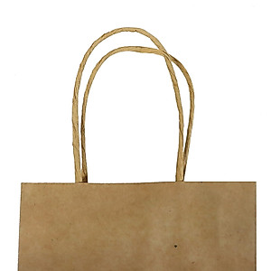 bagmad 50 Pack 5.25x3.25x8 Inch Small Brown Paper Gift Bags with Handles Bulk, Thank You Kraft Paper Bags for Party Favors Grocery Retail Shopping Wedding Craft Cub Sacks (Plain Natural, 50pcs)