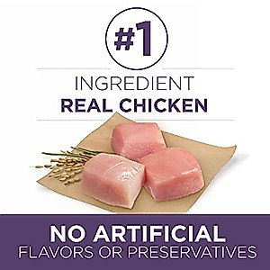 Purina ONE High Protein Dry Senior Dog Food Plus Vibrant Maturity Adult 7 Plus Formula - 31.1 lb. Bag