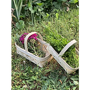BERT'S GARDEN Farm Stand Nesting Baskets with Handles, Produce Baskets, Natural Wooden Baskets, Use as a Planter, Make Gift Baskets 2 Pack