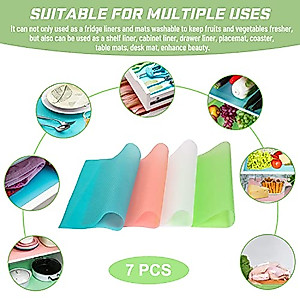 Refrigerator Mats Shelf Liner Clear Remi Washable Fridge Liners Waterproof pad mat Drawer Table Dish Fresh 7 Pack 2Red/2Green/2Blue/1Clear 17 3/4 x 11 1/16 IN / 45*30*0.1cm