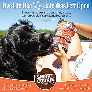 Smart Cookie All Natural Dog Treats - Healthy Skin & Coat Salmon Dog Treats - Ideal for Sensitive Stomachs or Itchy, Allergic, Dry Skin - Dehydrated, Crunchy, Human-Grade, Made in USA - 8oz, Pack of 1
