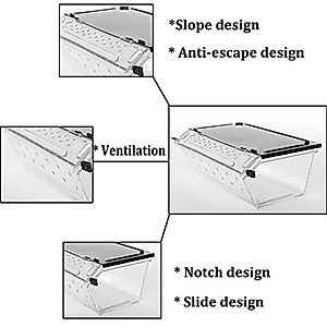 PINVNBY Reptile Feeding Box Transparent Snake Breeding Box Plastic Lizard Hatching Container Portable Gecko Habitat for Spiders Scorpions Frogs Tarantulas Turtles Hideout 9.4×4.1×3.9  
