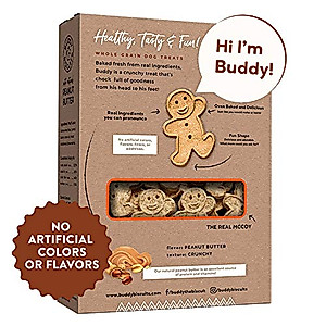 Buddy Biscuits Oven Baked Treats with Peanut Butter, Whole Grain - 16 oz. - Single Box (12500_Single)