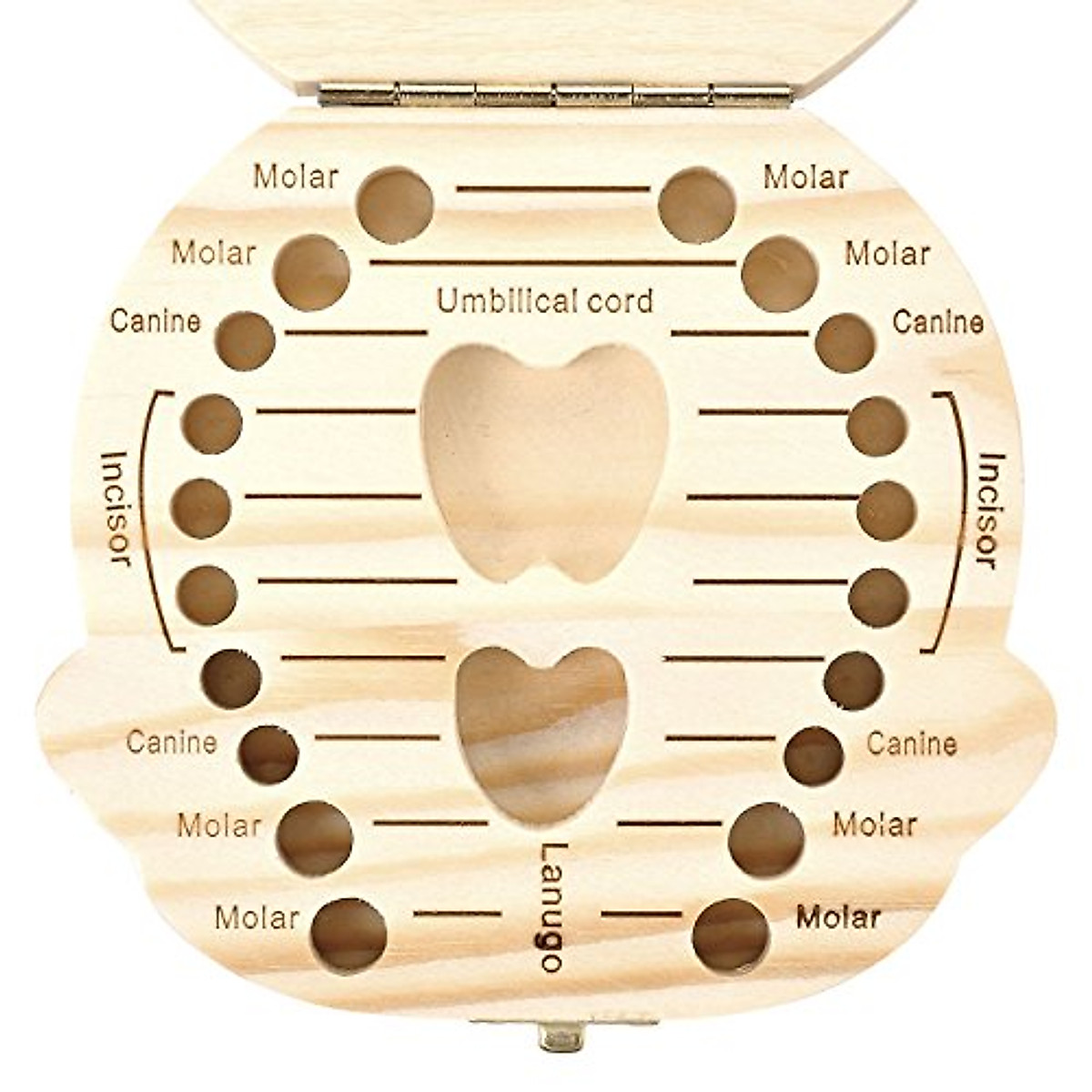 Mogoko Baby Teeth Keepsake Box Wooden Tooth Fairy Boxes, Child Kids Tooth Storage Holder Organizer(Girl, English; Customized Personalized Optional)