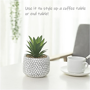 CADNLY Small Artificial Plants in Pots - Fake Plants for Bathroom Office Desk - Faux Succulents Succulents Decor 1 Pack