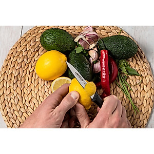 ARCOS 3 Pieces Paring Knife Set. 3 Peeling Knives of Stainless Steel and Ergonomic Polypropylene Handle for Cutting Fruits, Vegetables and Tubers. Series Nova. Color Black