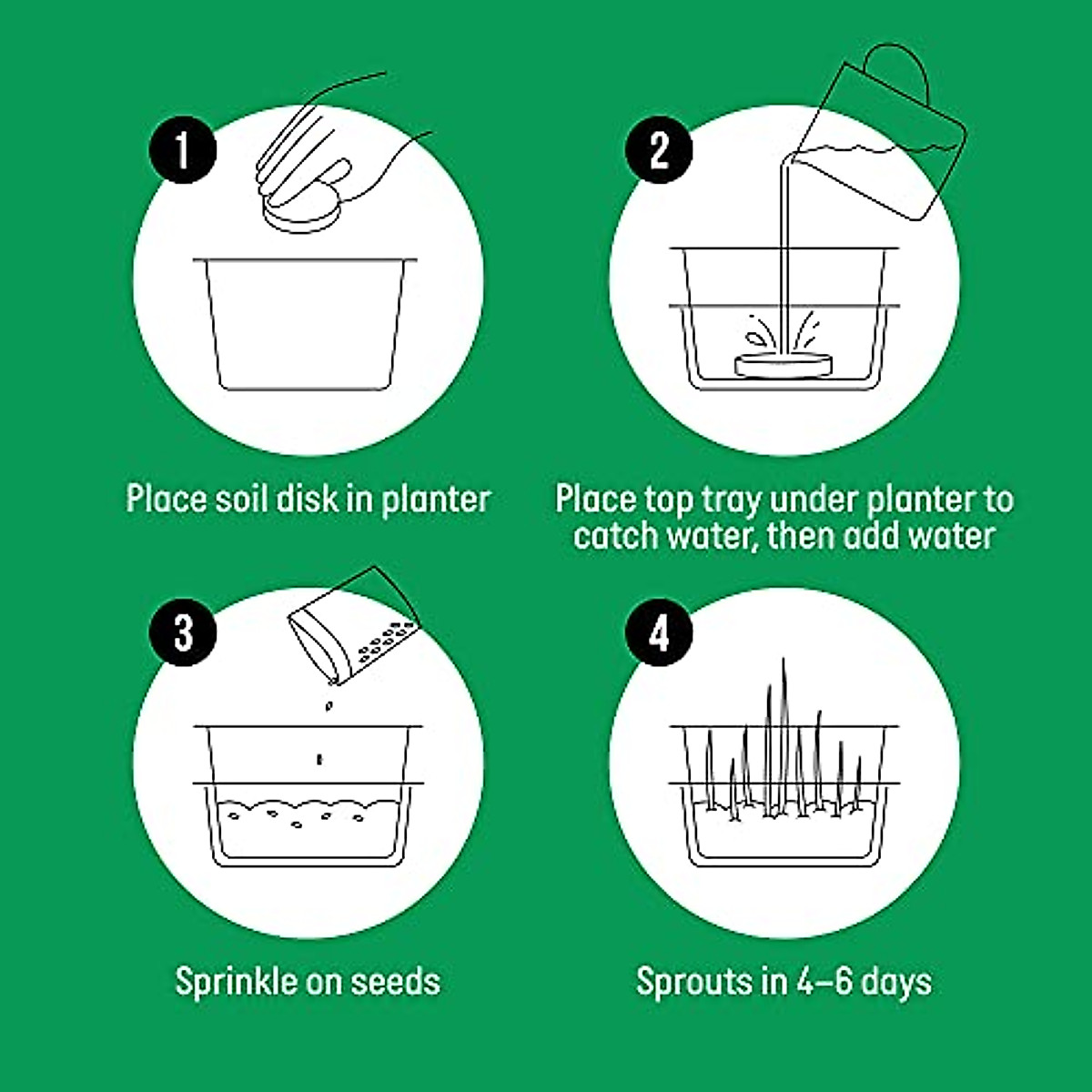 The Cat Ladies Cat Grass Growing Kit -Organic Seed, Soil and BPA Free containers (Non GMO).Locally sourced Seeds! (3 Pack)