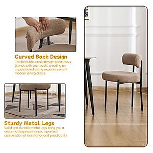 EDWELL Dining Chairs Set of 4, Round Upholstered Dining Room Chairs, Curved Backrest Boucle Dining Chair for Kitchen, Living Room, Mid Century Modern Dining Chairs with Black Metal Legs
