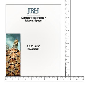 JBH Creations Ocean Animal Bookmarks - Pack of 48