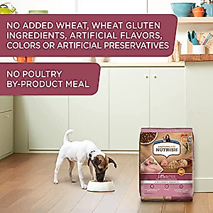 Rachael Ray Nutrish Little Bites Dry Dog Food, Chicken & Veggies Recipe for Small Breeds, 6 Pounds