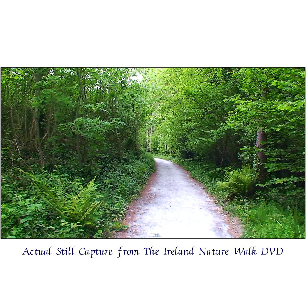 Ireland Nature Walk Treadmill Scenery DVD