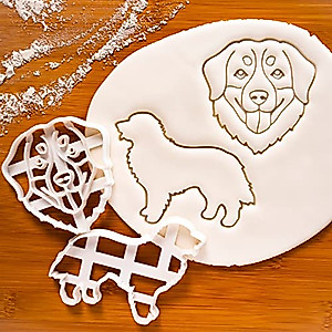 Set of 2 Bernese Mountain Dog cookie cutters (Designs: Face and Silhouette), 2 pieces - Bakerlogy