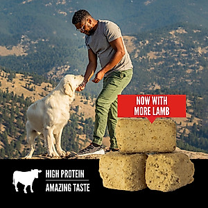 ORIJEN Freeze Dried BEEF RECIPE Dog Treats, WholePrey Ingredients, 3.25oz