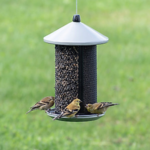 Perky Pet TSS00349 Dual Mesh Wild Bird Seed Feeder