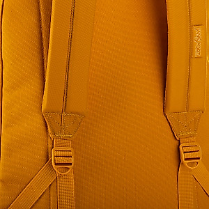 JanSport(ジャンスポーツ) Women Backpack, 04V