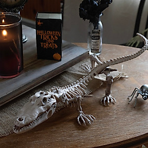 Crocodile Skeleton Halloween Decoration (2 Pack) 20" Long- Weather Resistant for Indoor Outdoor Use- Animal Decor for School Projects, Classrooms, Science Fairs- Fun & Educational Fall Party Prop