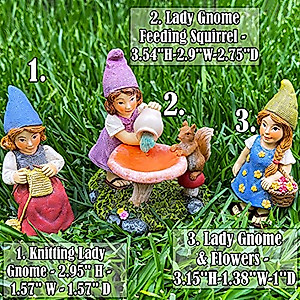 Mood Lab Miniature Garden Gnomes - Lady Gnomes Kit of 3 pcs - Figurines & Accessories Set - Outdoor or House Decor