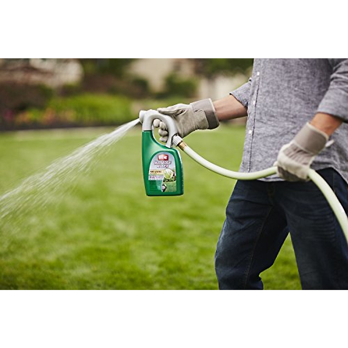 Ortho Nutsedge Killer for Lawns Ready-to-Spray, 32 fl. oz. (Pack of 2)