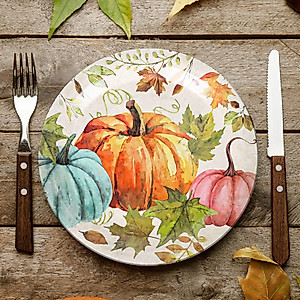 AnyDesign 40Pcs Thanksgiving Fall Paper Plates Watercolor Pumpkins Round Disposable Plates Retro Pumpkin Harvest Design Plates for Fall Theme Party Holiday Banquet Dinnerware Supplies