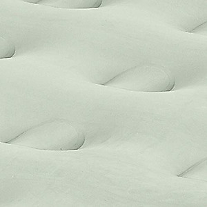 Coleman Air Mattress | Double-High SupportRest Air Bed for Indoor or Outdoor Use, Twin