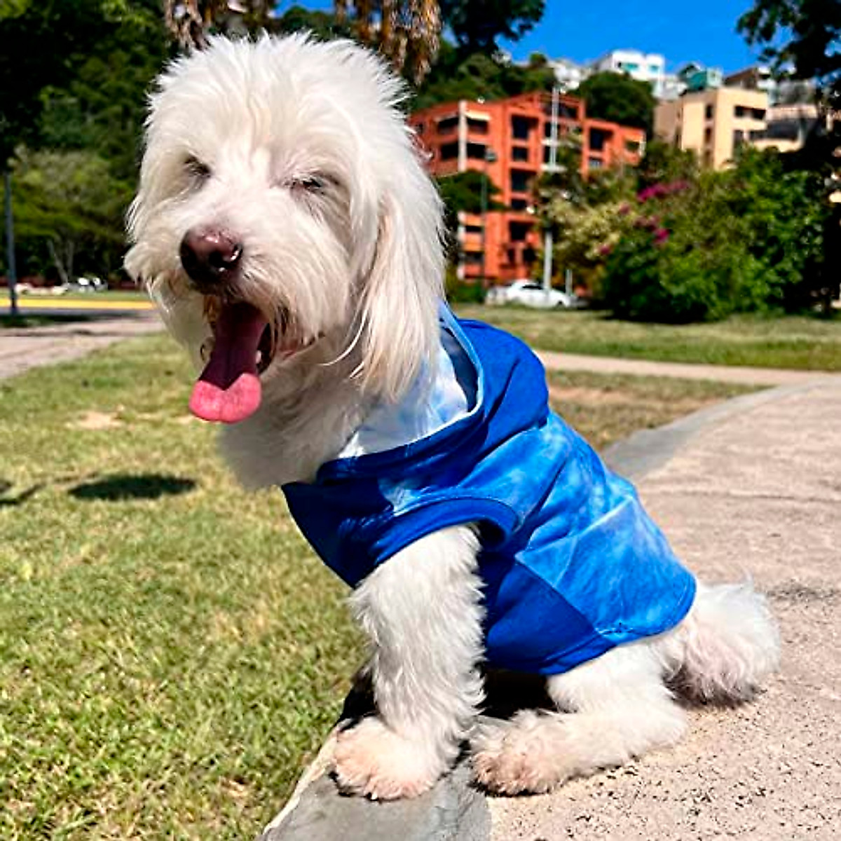 SILOPETS Puppy Clothes for Small Dogs Boy Hooded - Soft and Stretchy Small Puppy Clothes to Daily Walks - Sleeveless Puppy Clothes Boy (Sky S) Green