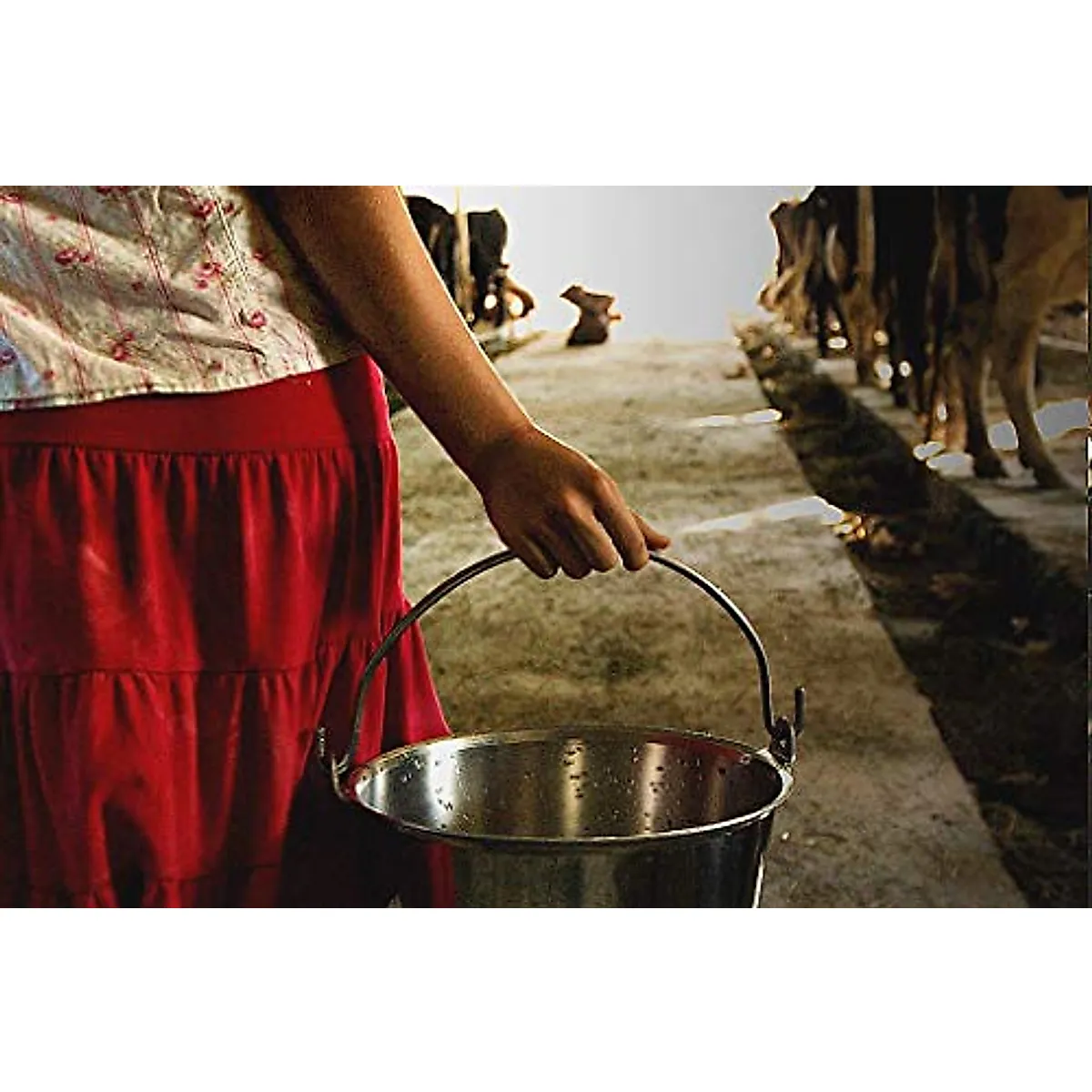 Maple Hill Creamery Organic Cream on Top Yogurt - USDA Organic Whole Milk Yogurt – Unsweetened No Sugar Added– 100% Certified Grass-Fed Yogurt, Plain, 32 oz