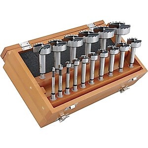 Steelex D3573 Forstner Bit Set with Hex Shank, 16-Piece