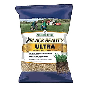 Jonathan Green Black Beauty Ultra Lawn Repair 7 Lb.