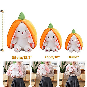 Mukorolee 2PCS Plush Toy Pillow, Reversible Carrot Strawberry Bunny Plush with Zipper, Easter Bunny Stuffed Animal Cute Rabbit Plushie Birthday Gift for Boys Girls Kids (2pcs 7" Strawberry&Carrot)