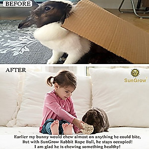 SunGrow Cat Sisal Rope Scratcher Ball & Ferret, Rabbit Anti Chew Shoe, Stop Chewing & Scratching Furniture, Teething for Guinea Pigs, Chinchillas, Pocket Pets, 1 Pack