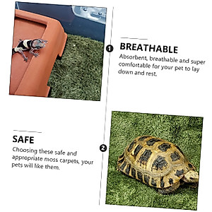 GANAZONO 2Pcs Climbing Pet Fake Lawn Terrarium Substrate Liner Reptile Bed Reptile Climbing Carpet Miniature Grass mat Amphipod Reptile Moss Carpets Horned Frog Cotton Absorbent pad