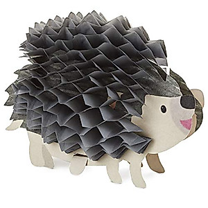Hallmark Pop Up Birthday Greeting Card (Honeycomb Hedgehog) (599RZQ1002)