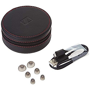 Momentum Free Special Edition