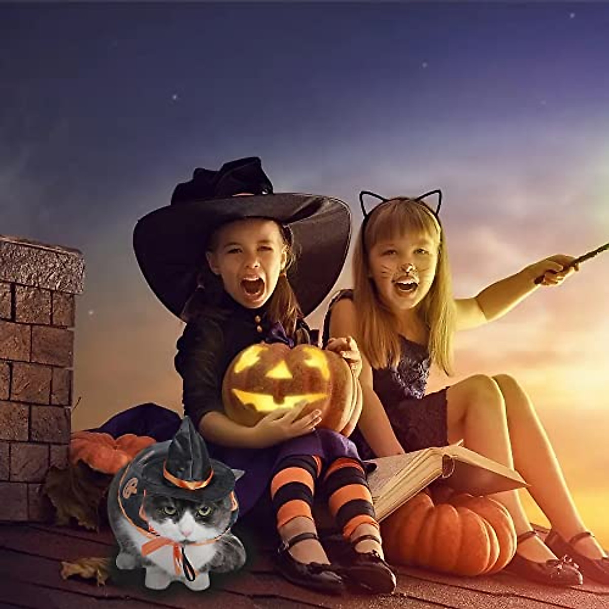 Cat Costume Pet Wizard Clothes Witch Cosplay Cloak for Cats and Puppy