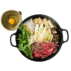 Oigen Nambu Ironware Sukiyaki & Dumplings Iron Pan Ca-4 26cm Japan Import :972