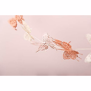 Sizzix Thinlits Die Set 3 Pack Intricate Wings by Jessica Scott, Multicolor