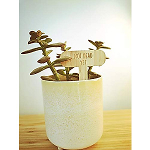 Funny Plant Markers - Joke Punny Garden Stakes - Ideal for That Garden Lover - Indoor Outdoor Plant Label Sign Markers (Joke Set)