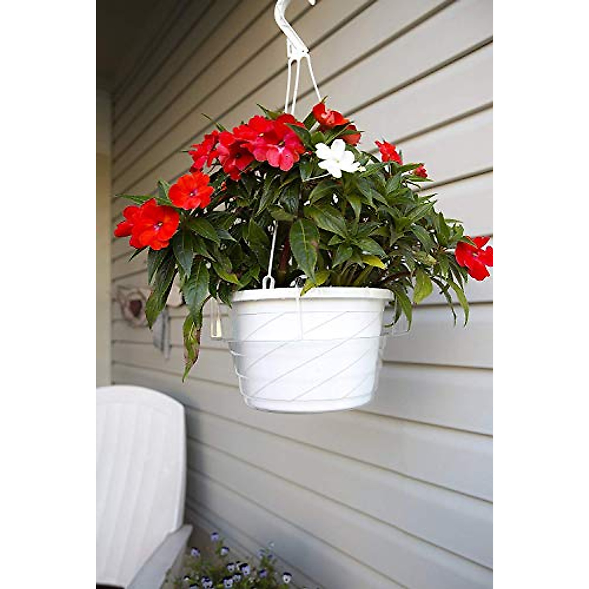 Curtis Wagner 10" Clear Hanging Basket Drip Pan Saucer (10-Pack)