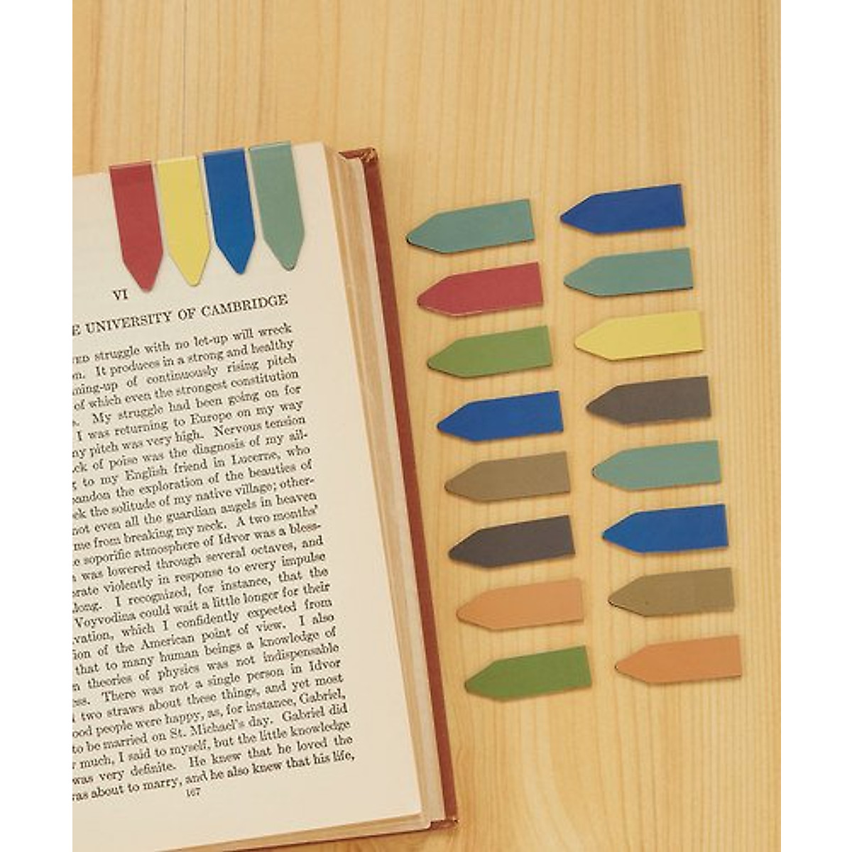 Get to the Point Magnetic Bookmarks Earthtone Color Line Markers (1 Box of 20)