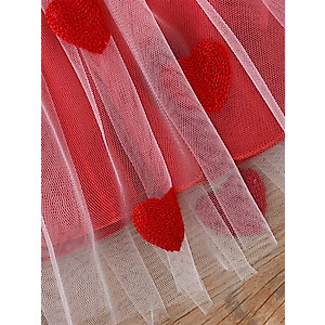 Infant Toddler Baby Girls Valentine's Day Outfit Long Sleeve Heart Lace Tulle Tutu Dress Princess Festival 2ps(Red, 9-12 Months)