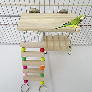 Bird Wooden Playground Stands with Climbing Ladder, Parrot Play Stand for Green Cheeks, Parakeet, Chinchilla, Hamster, Baby Lovebird, Bird Ladders, Bird Cage Toys Set