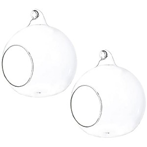 POPETPOP Hanging Flower Pot Glass Hamster House Terrarium Air Plants Containers Clear Small Animal Hideout Hydroponic Flower Vase Guinea Pig Summer Cooling Hut Cage 2Pcs Wedding Decorations