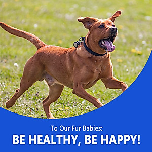 MewMewLand Dog Knee Braces for Pain CCL, ACL, Arthritis, Extra Support, Dog ACL Brace Hind Legs with Metal Side Stabilizers, Black Medium