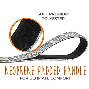 Mighty Paw Grey Paisley Designer Dog Leash - Soft Premium Polyester With Neoprene Padded Handle For Ultimate Comfort - All Metal Hardware For Most Playful Dogs - Built To Last - Perfect Everyday Leash