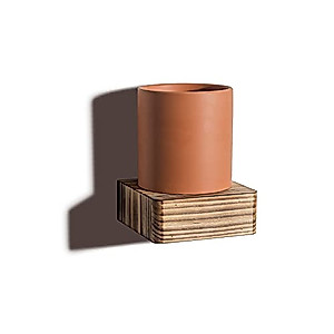 Freezing point Small Floating Shelf,Mini Wall Shelves for Kitchen Bedroom Living Room Bathroom Wall Decor Plant Display Collectibles Corner Decorative Storage Tiny Carbonize