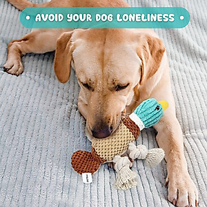 IPORLEER Squeaky Dog Toys, Stuffed Dog Toys for Large Dogs, Soft & Durable Plush Dog Chew Toys with Crinkle Paper for Puppies