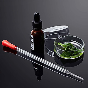 OLYCRAFT 6PCS Glass Petri Dishes High Borosilicate Glass Bacterial Culture Dishes with Lid 60mm Dia x 18mm Deep with 2pcs Glass Culture Plate for Laboratory School Science Project