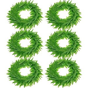 WILLBOND 6 Pieces Tropical Fern Leaf Headband Hawaiian Tropical Leis Headband Knitted Fabric Toga Headwear Leaf Crown