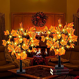 2 Pack 24-inch Fall Lighted Maple Tree, 48 LED Lights, Thanksgiving Decoration Table Tree, Battery Operated DIY Artificial Tree, Centerpieces Decor Tree for Home Desktop Autumn Harvest Tabletop Indoor