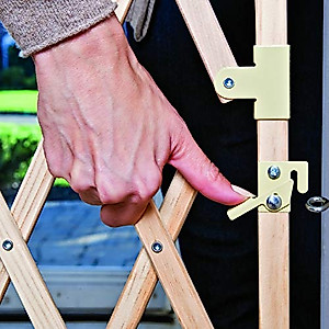 Evenflo Expansion Walk Thru Room Divider Gate